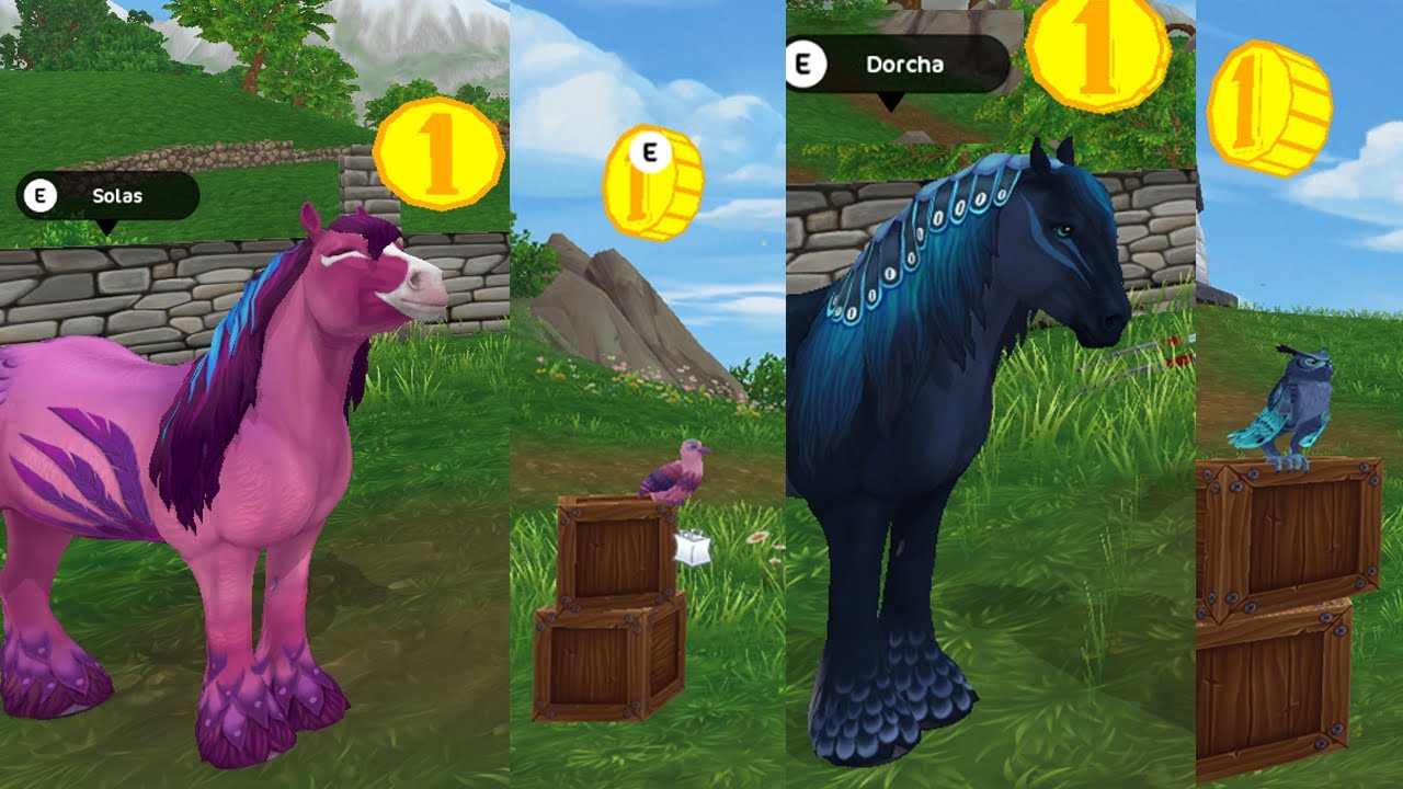 Solas und Dorcha sind wieder da (SSO) | Sturmvalka Spirit - YouTube