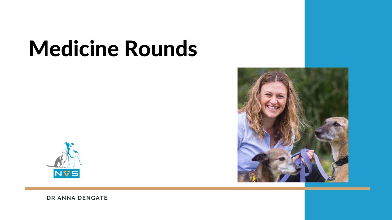 Medicine Rounds 27082021 - YouTube