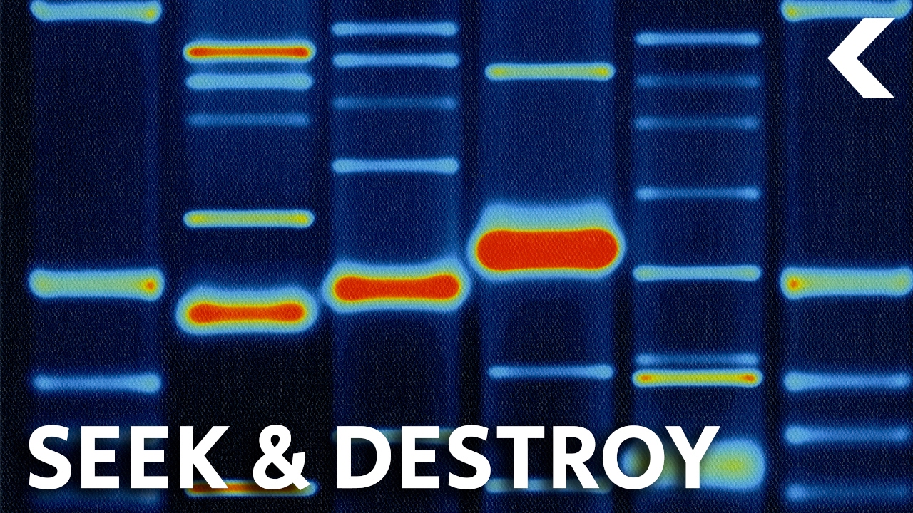 Destroying Cancer Using Your Own Genetically Modified Cells - YouTube