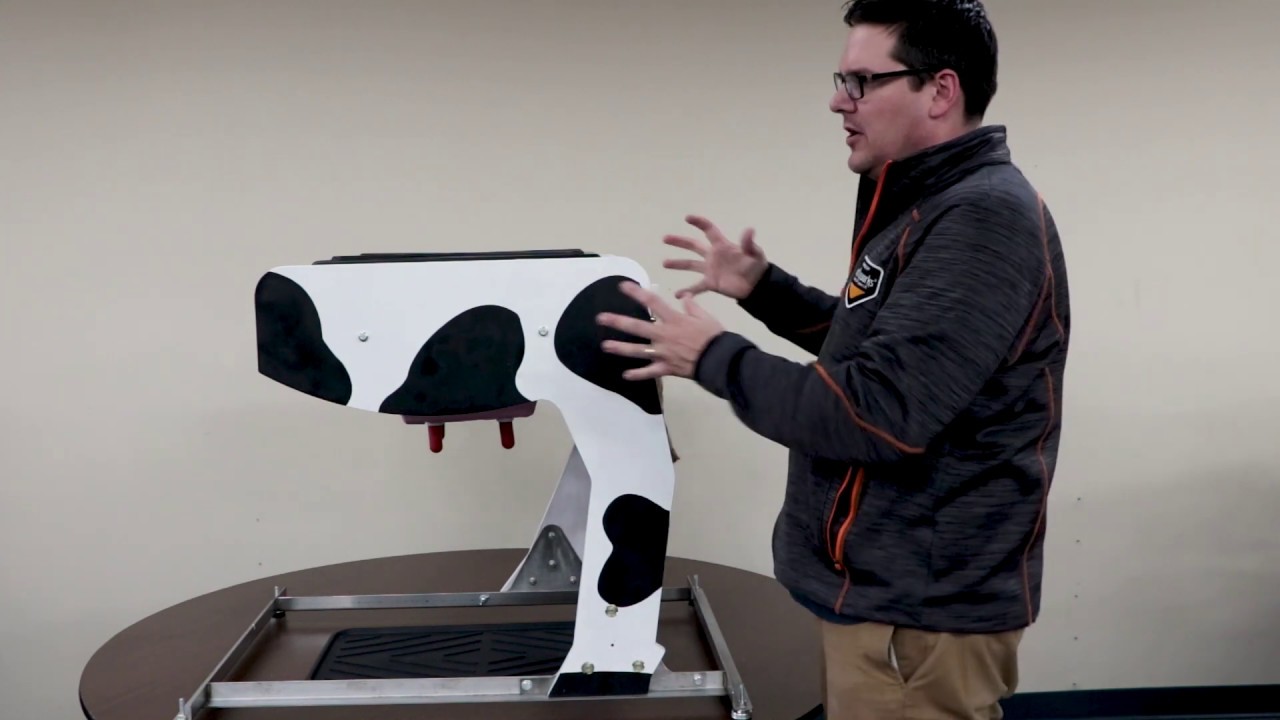 Bovine Milking Udder Simulator - YouTube