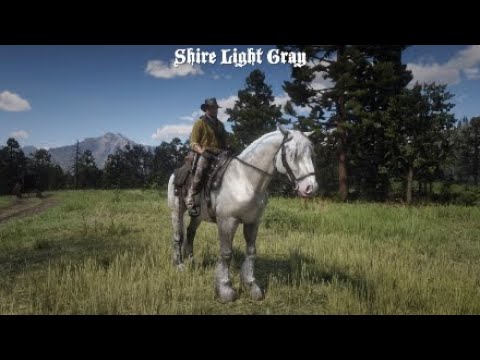 Red Dead{Shire Light Gray} - YouTube