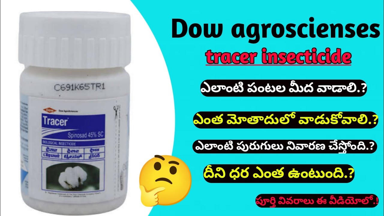 Dow agro scienses tracer full details in telugu | thrips control in ...
