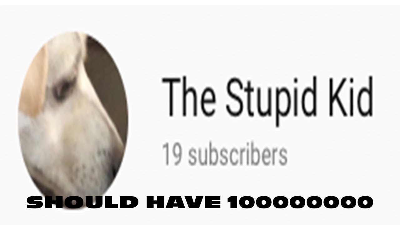 THIS IS THE BEST CHANNEL ON YOUTUBE The Stupid Kid YouTube this-is-the-best-channel-on-youtube-the-stupid-kid-youtube