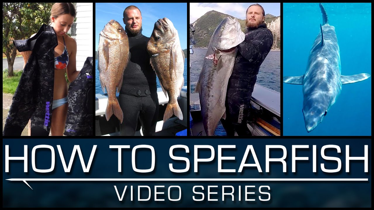 How To Spearfish video series - Promo Video - YouTube