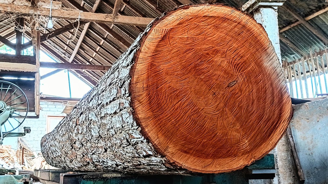 Sawing large, very long of mahogany wood with beautiful grain - YouTube