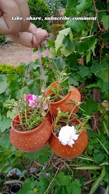 waste matka se bnaya ik cute planter #diy #craft #hack #old #status # ...
