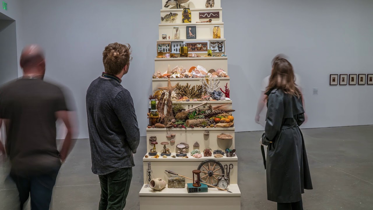 Mark Dion: The Classical Mind - YouTube