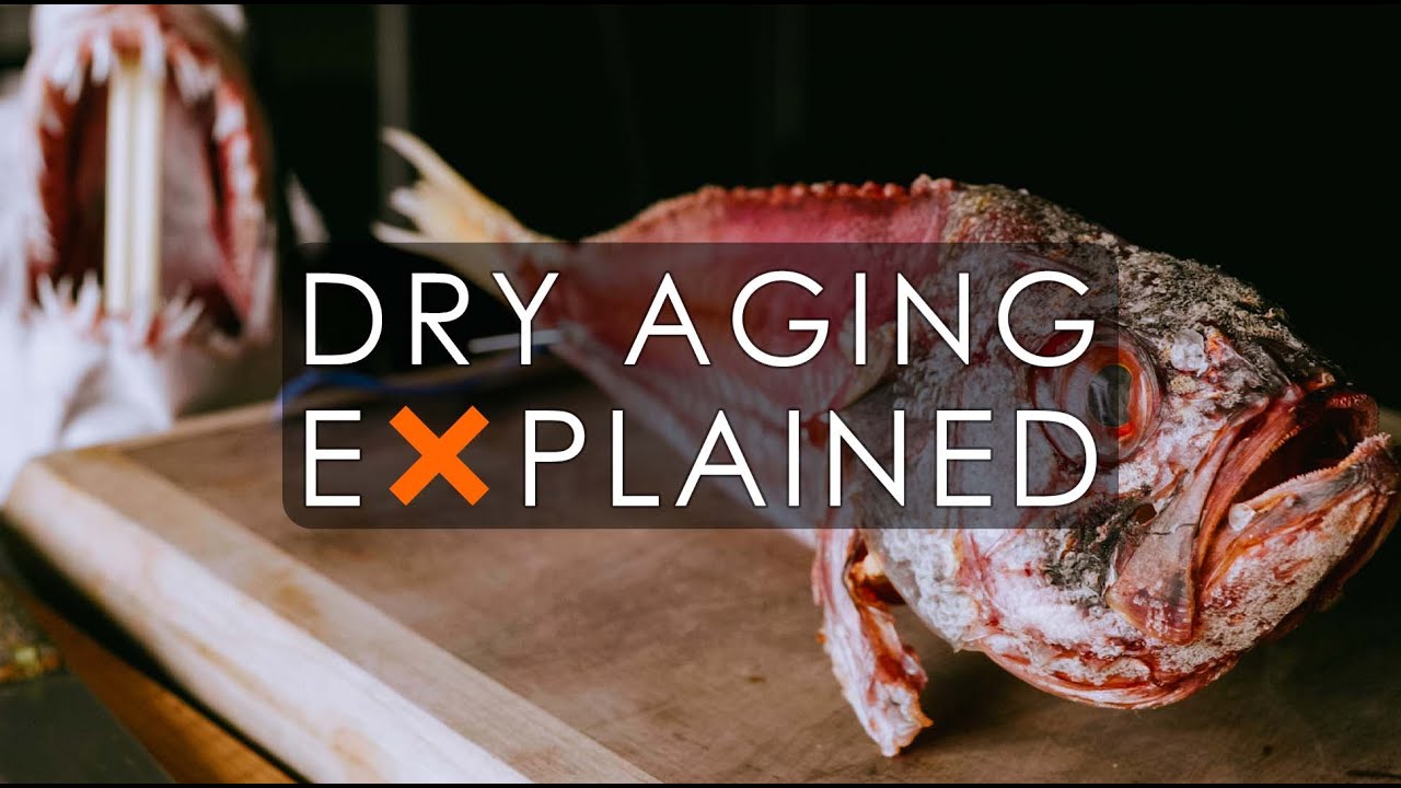Dry-Aging Fish - Explained | Chef Loren Waite - YouTube
