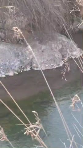 Hola vean cómo Herve el agua aquí 🙏🙏 - YouTube