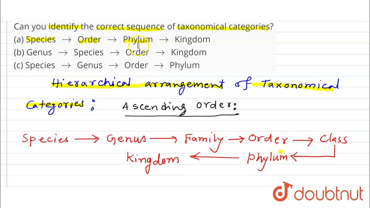 Can you identify the correct sequence of taxonomical categories? (a ...