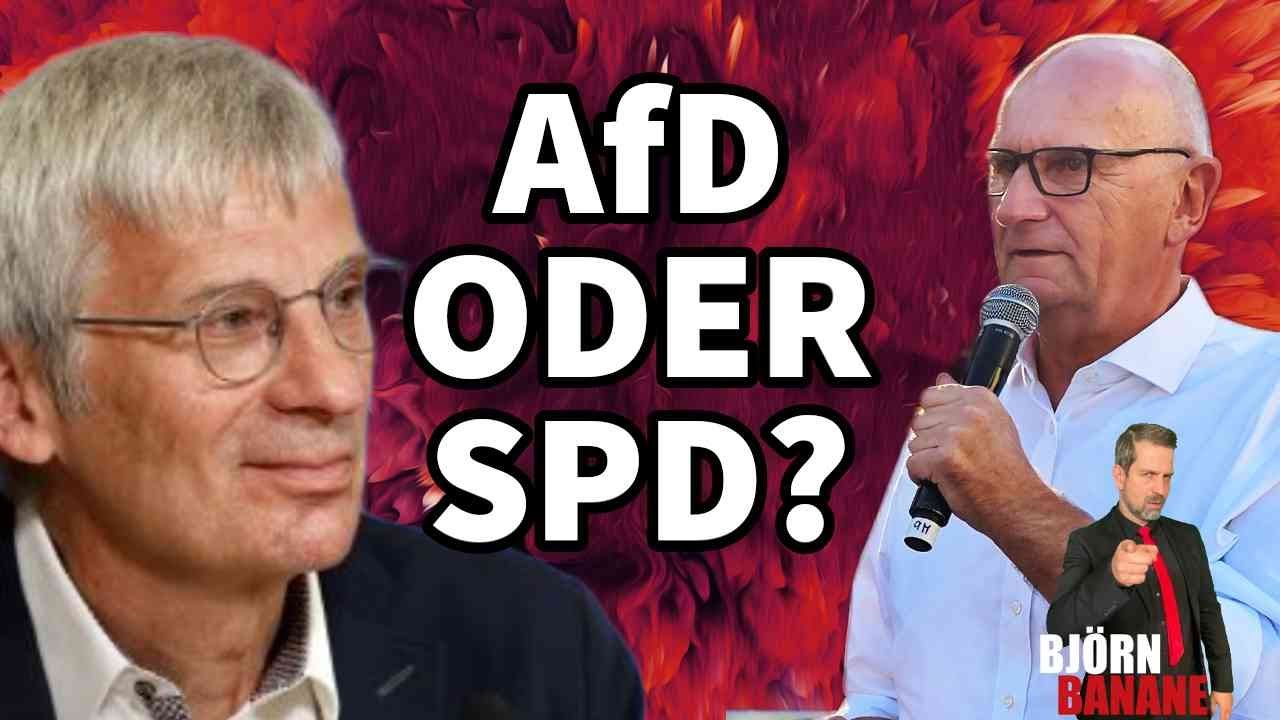 AFD ODER SPD? - YouTube