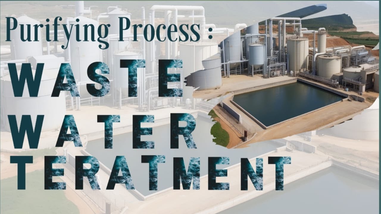 Purifying Process: Waste Water treatment Plant - YouTube