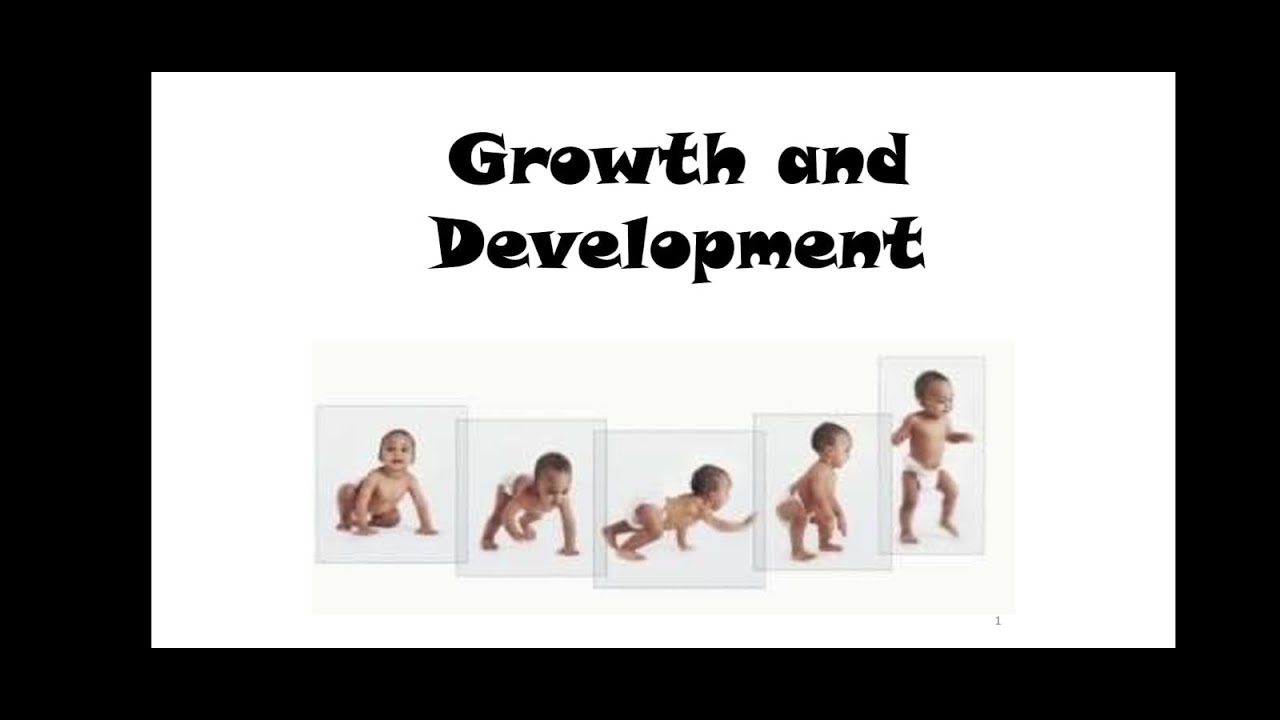 GROWTH & DEVELOPMENT II PRINCIPLES OF GROWTH & DEVELOPMENT II PEDIATRIC ...