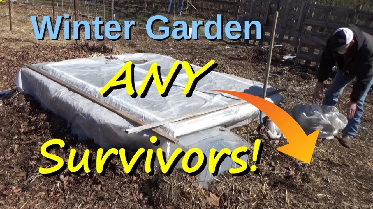 Winter Garden Ice Storm Survivors 2-27-2022 - YouTube