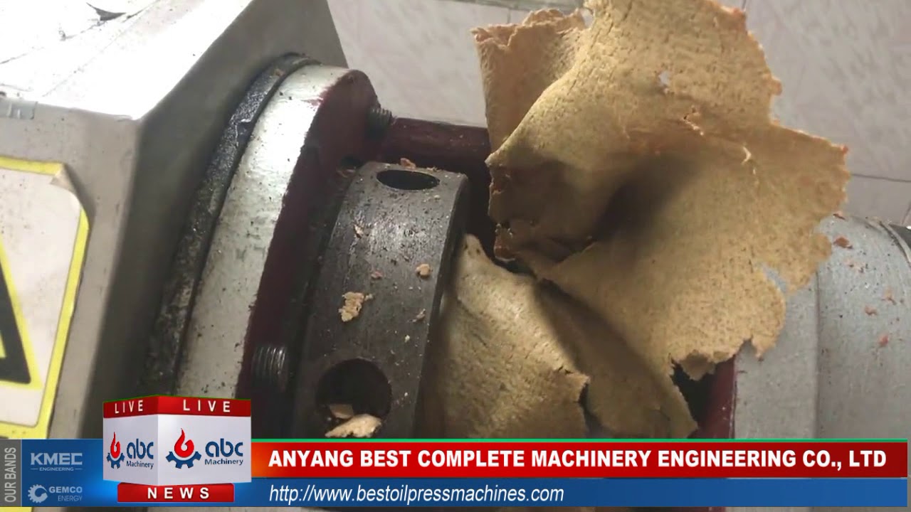 Sunflower Oil Press Machine | Sunflower Oil Extraction Machine ...