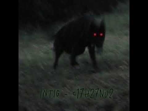 Intig - C17H27NO2 (SLOWED) - YouTube