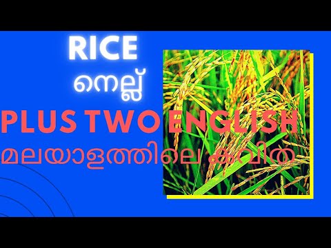 RICE poem by Chemmanam chacko, PLUS TWO ENGLISH. ചെമ്മനം ചാക്കോയുടെ ...