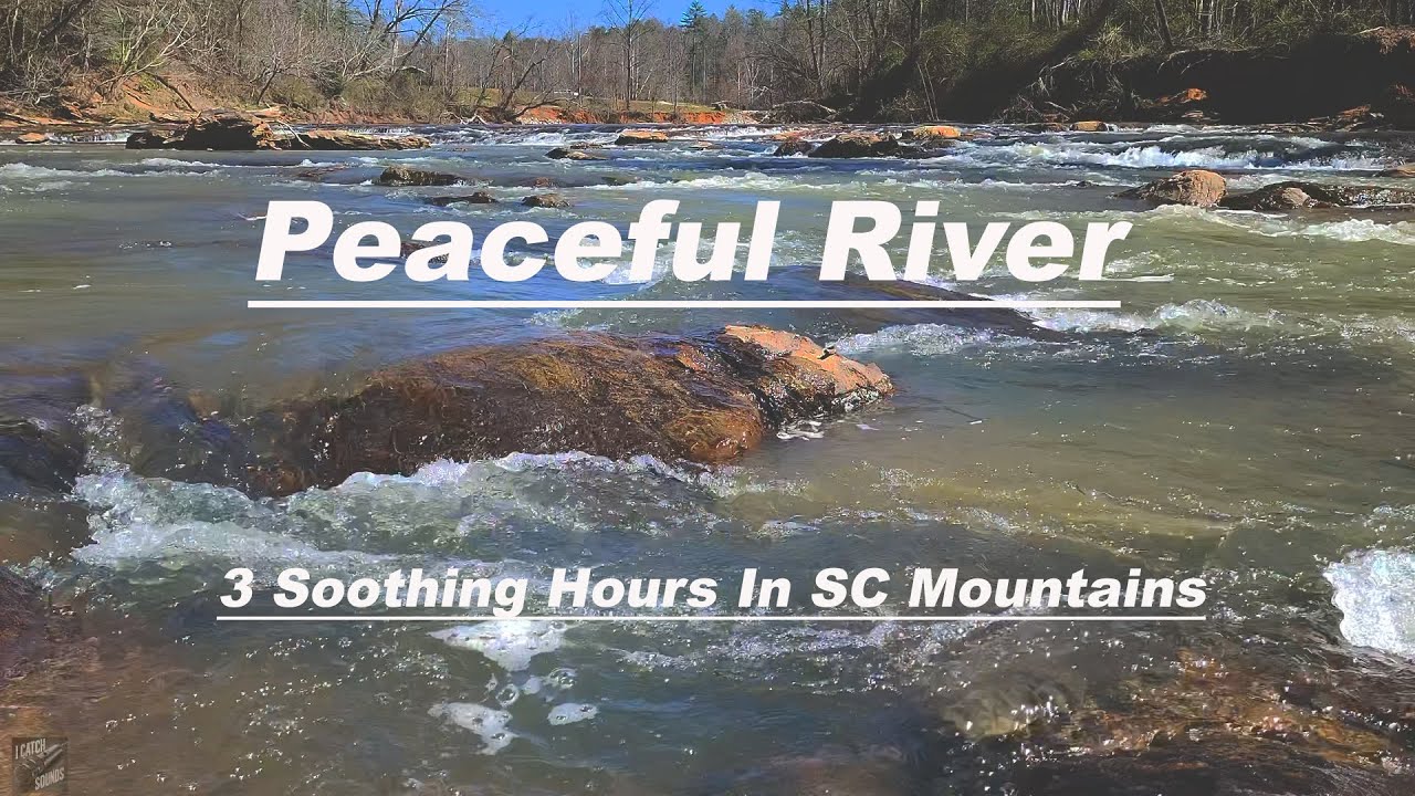 Relaxing River Sounds | Peaceful Forest Water | 3 Hours | 1080p ...