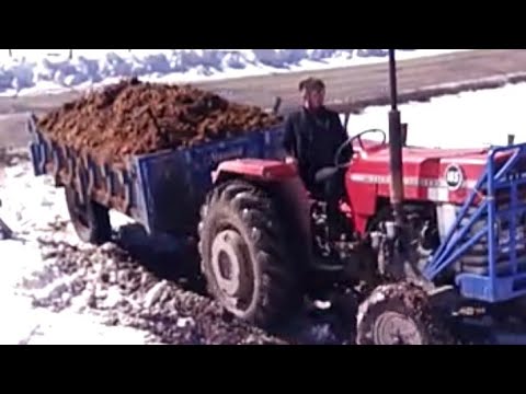YEMEZ Dediler bakın ne oldu!🤛🏼İşte sınırların zorlandığı bir video! MASSEY FERGUSON 165💥