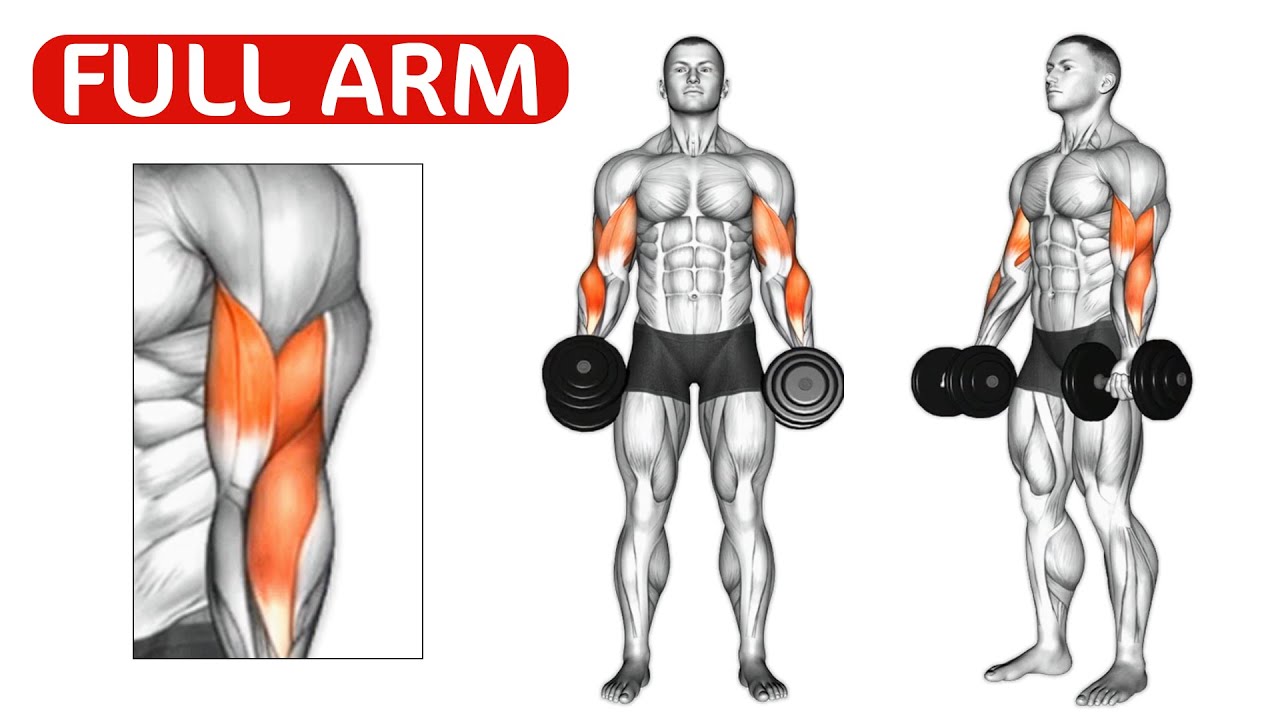 full arm workout with dumbbells at home- Do these exercises to make ...