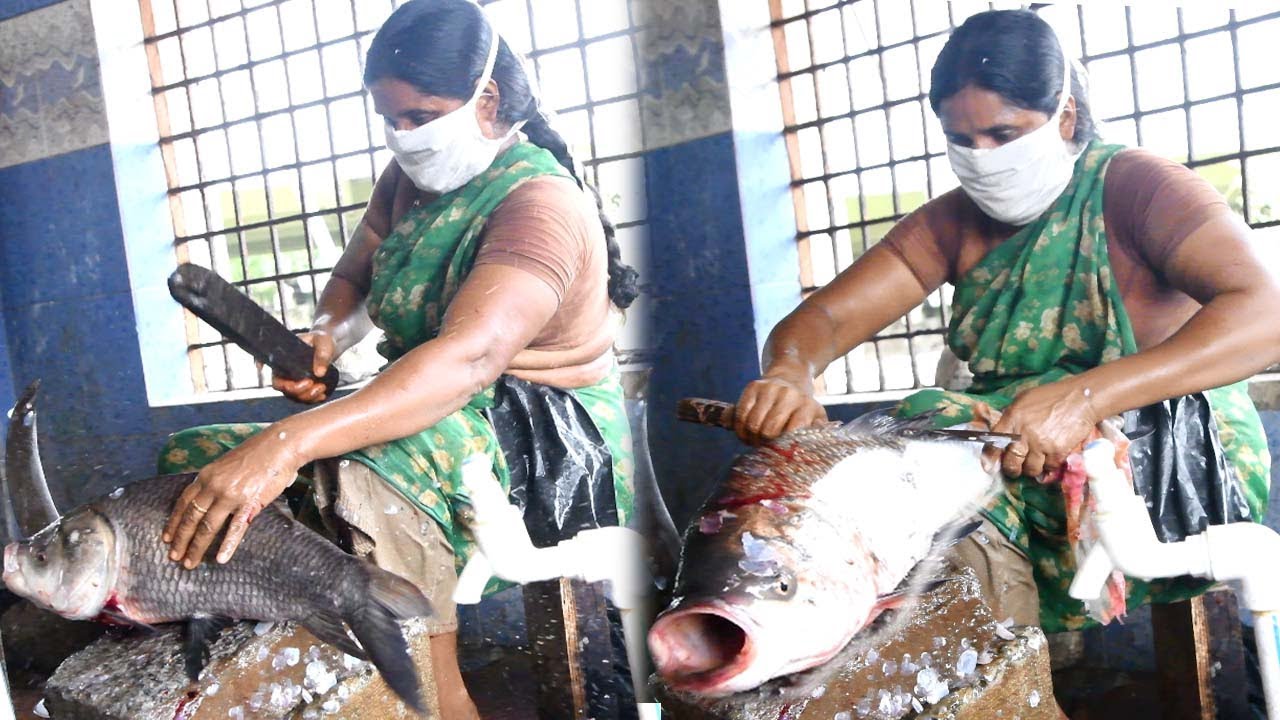 Amazing Big Fish cutting Skills by Village Woman|Big Live Fish|Village ...
