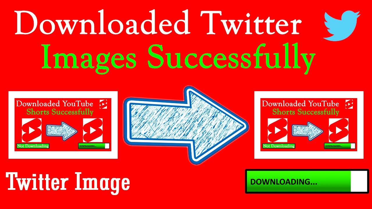 How to Download Twitter Images | Download Twitter Image | Twitter Image ...