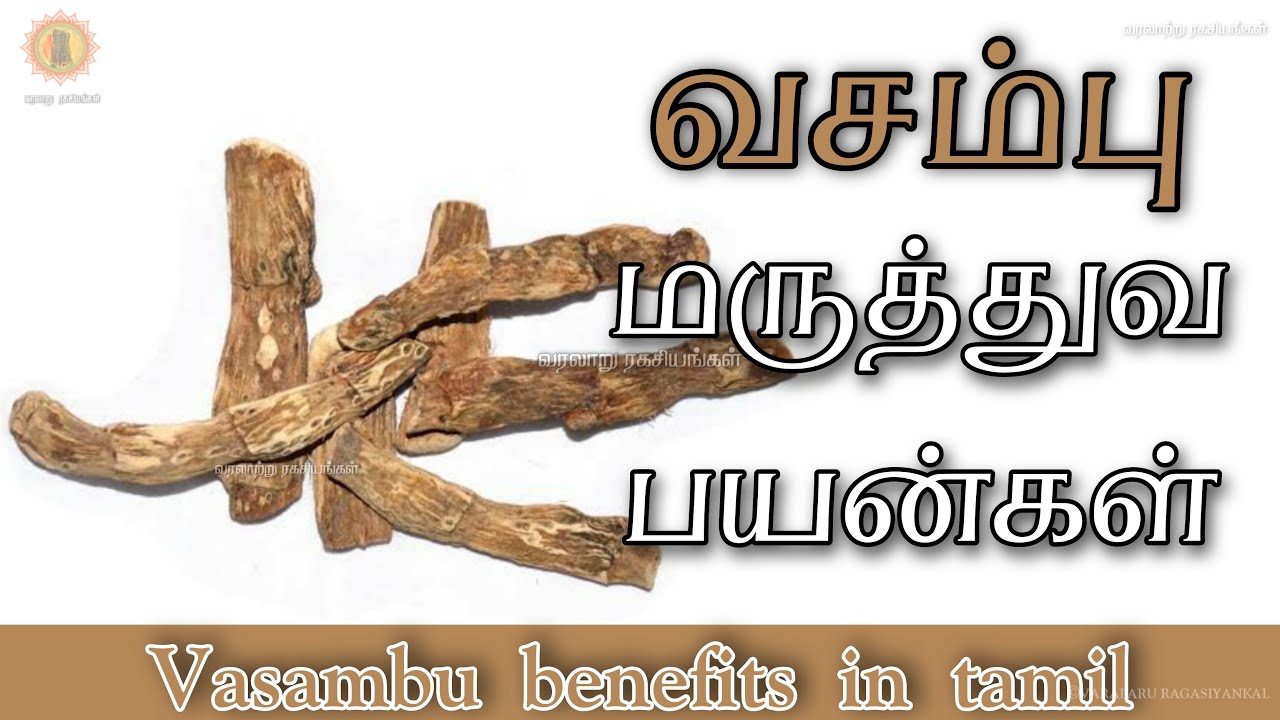 வசம்பு மருத்துவ பயன்கள் | vasambu benefits in tamil || வரலாறு ...
