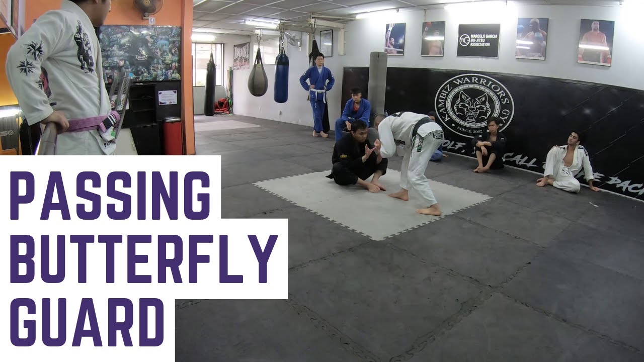 How to Pass Butterfly Guard BJJ - YouTube