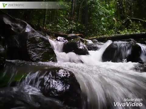 River flow motion picture /whatsapp status