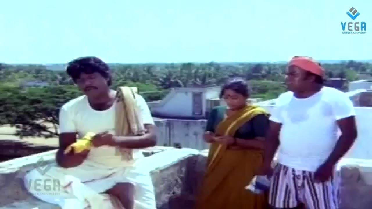 Senthil & Goundamani Comedy : December pookal - YouTube