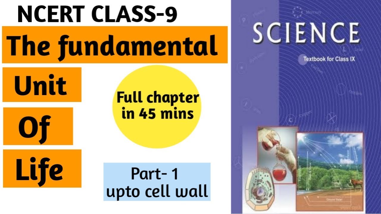 The Fundamental Unit Of Life Class 9 YouTube the-fundamental-unit-of-life-class-9-youtube