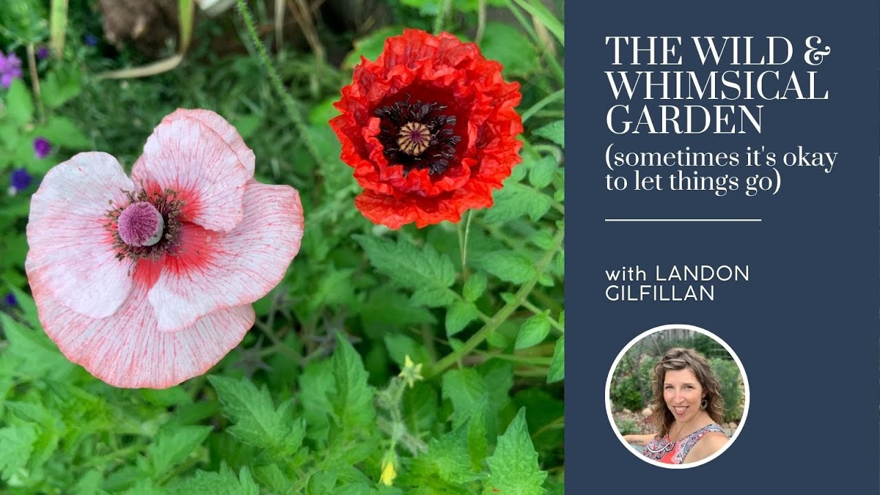 The Wild & Whimsical Garden (sometimes it's okay to let things go ...