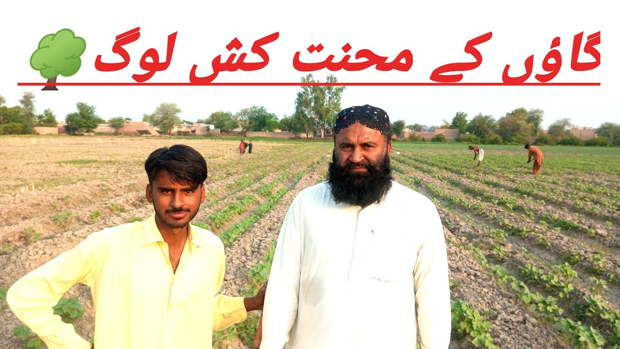 Gaon ka log#villagelife #naturebeauty #villagepeople #feild # vlog ...