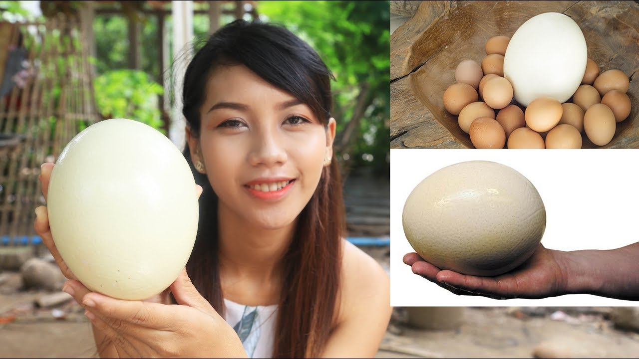 Yummy cooking egg Ostrich recipe - Cooking skill - YouTube