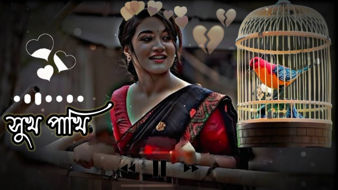 সুখ পাখি তোর প্রেমে মন মজাইয়া আমি / Shukh pakhi tor preme a ...