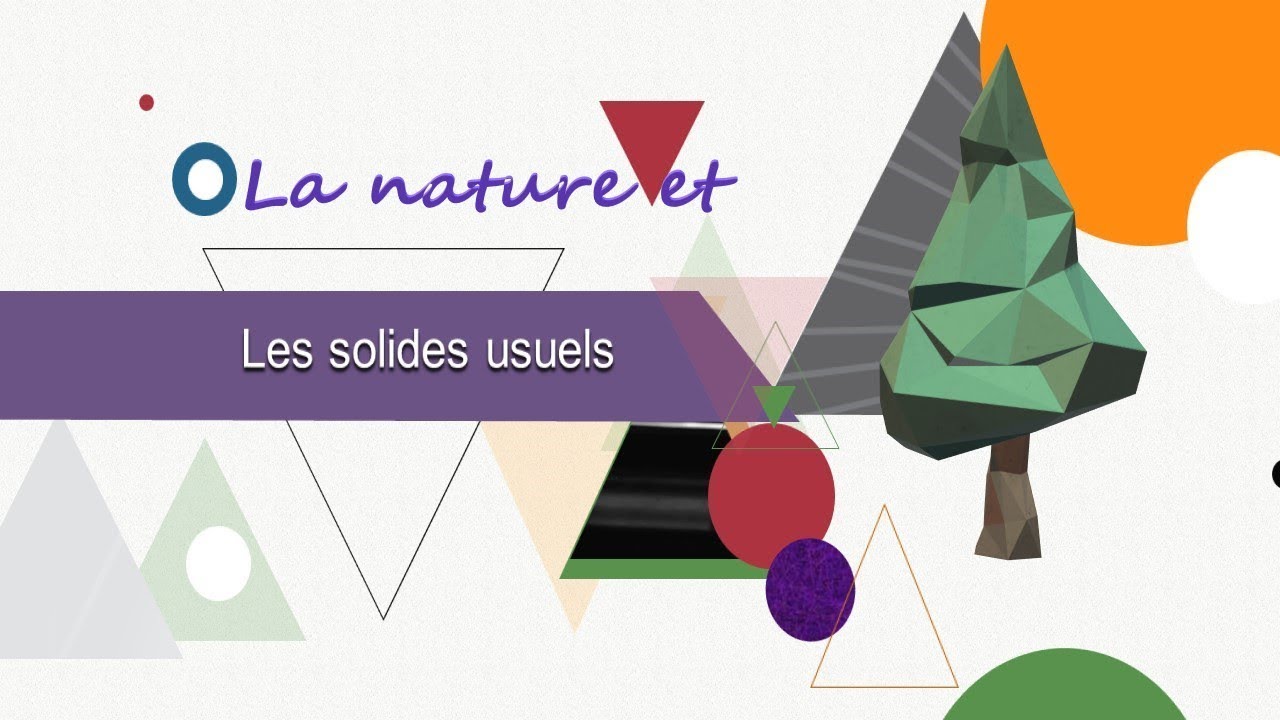 Les solides usuels dans la nature (forêt vosgienne) - YouTube
