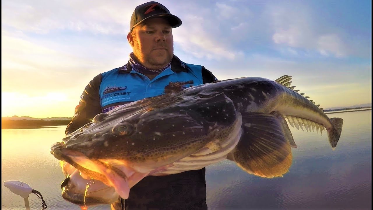 Surface fishing for Flathead. 80cm flattie off the top! - YouTube