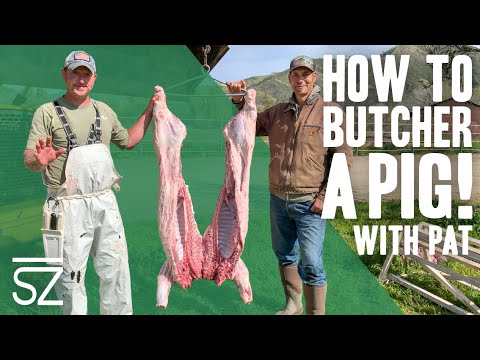 How to Process a Pig with Our Butcher Pat - YouTube