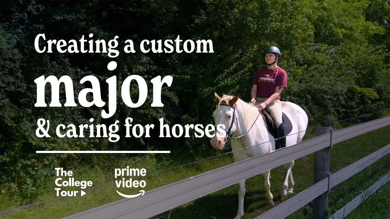 Creating a custom major & caring for horses - YouTube