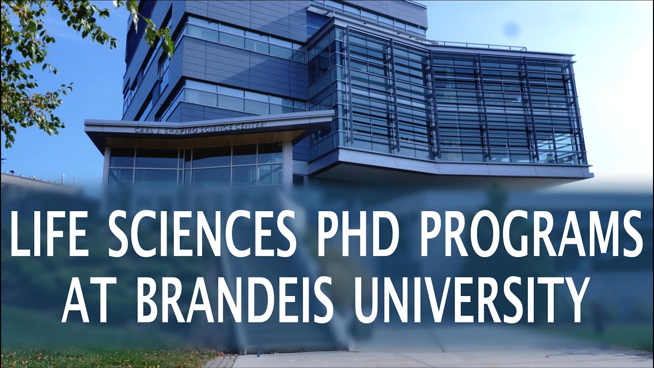 Life Sciences PhD Programs at Brandeis University - YouTube