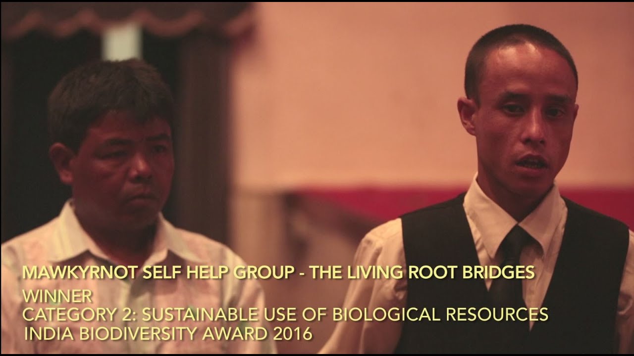 Mawkyrnot Self Help Group: The Living Root Bridges, Winner, India ...