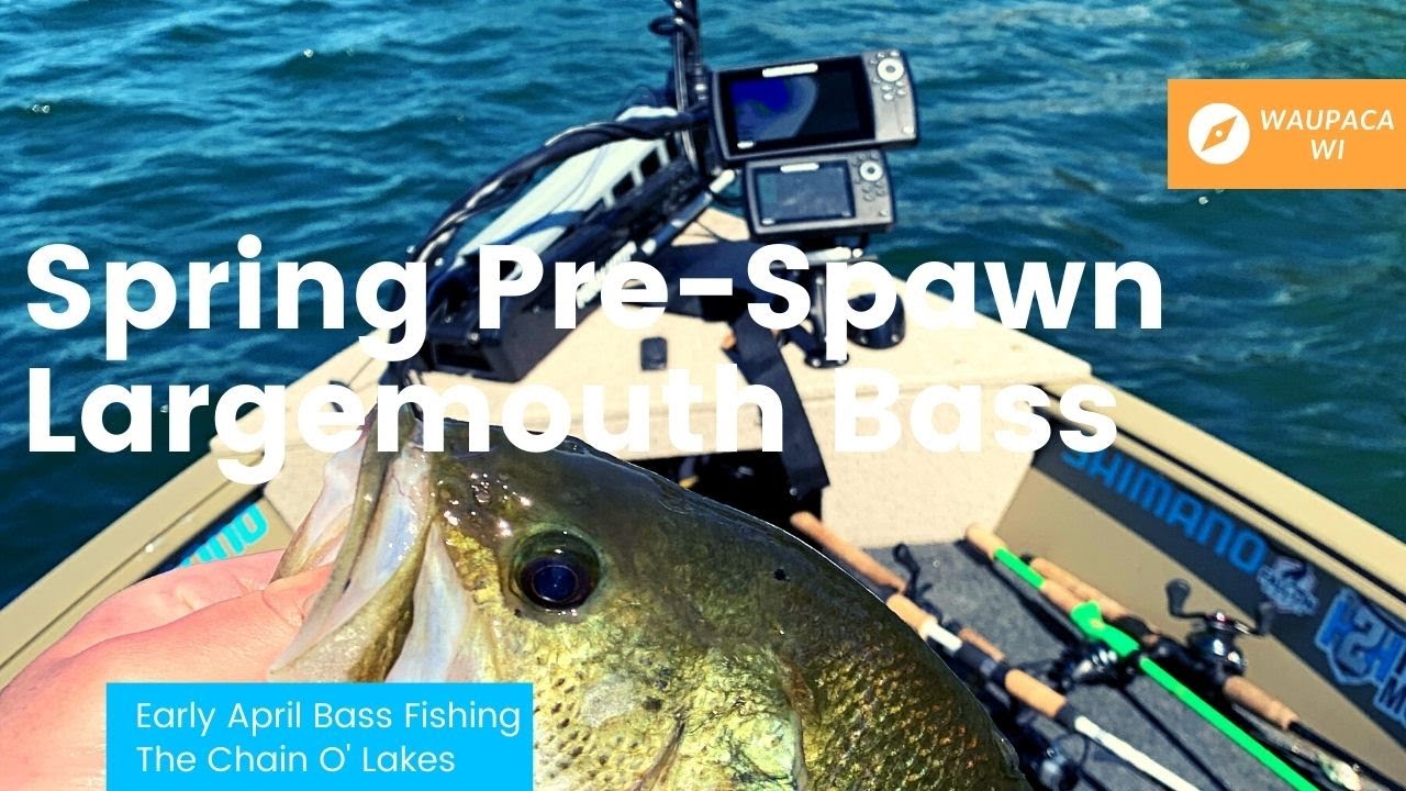 Spring Largemouth Bass Fishing PreSpawn On The Chain O' Lakes Waupaca ...