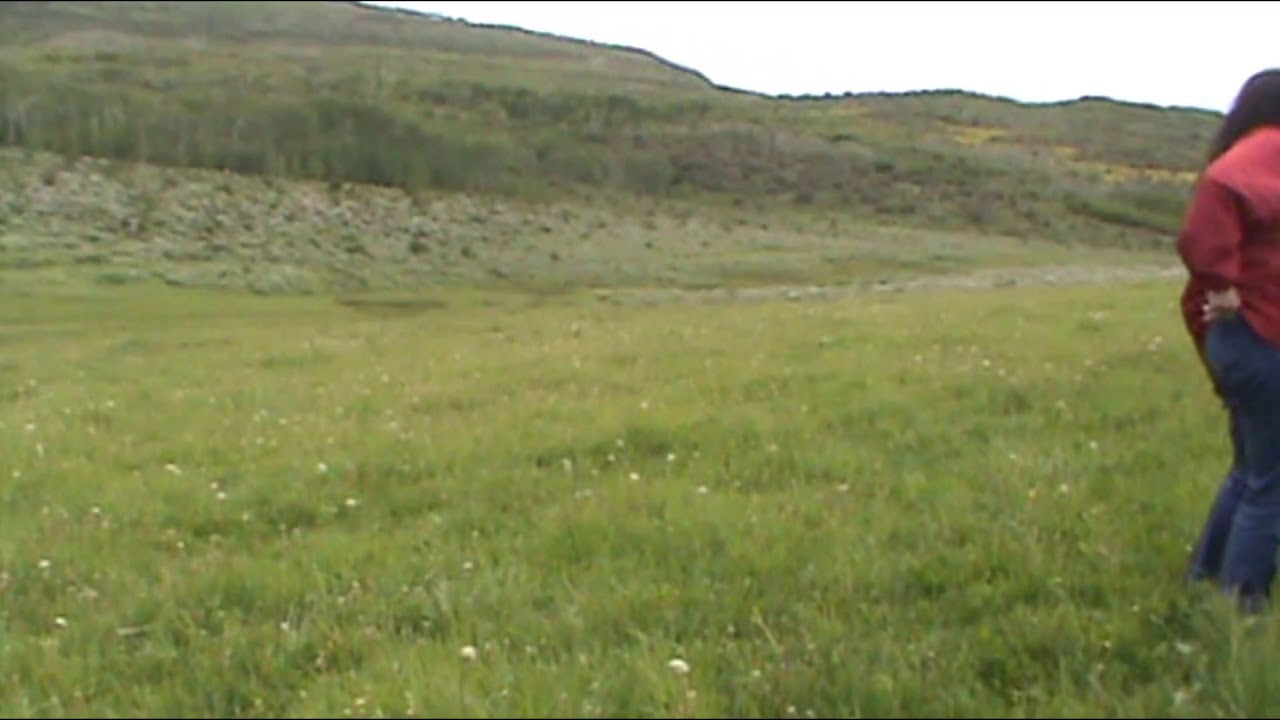 Duncan Ranch - YouTube