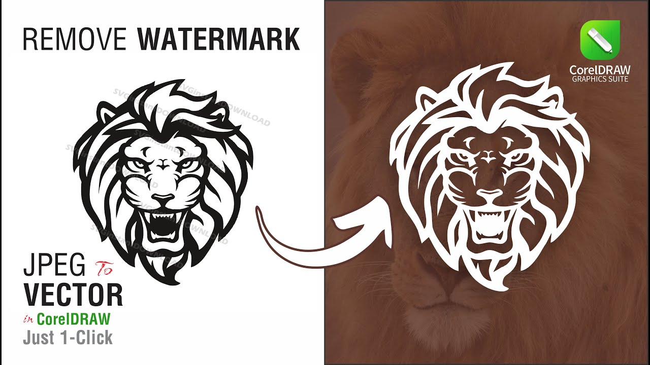 Remove Watermark In CorelDraw Jpeg To Vector In Just 1 Click remove-watermark-in-coreldraw-jpeg-to-vector-in-just-1-click