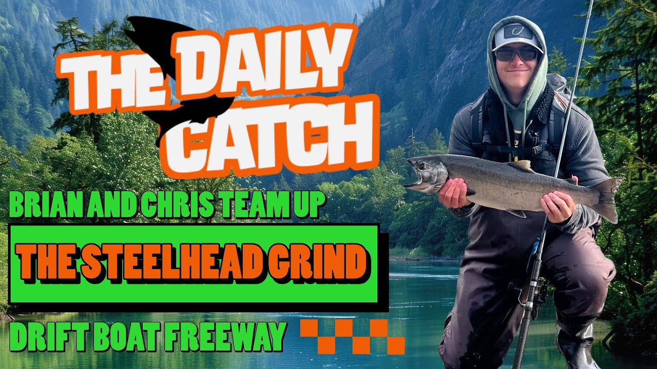 Daily Catch Tuesday Feb 18 - YouTube