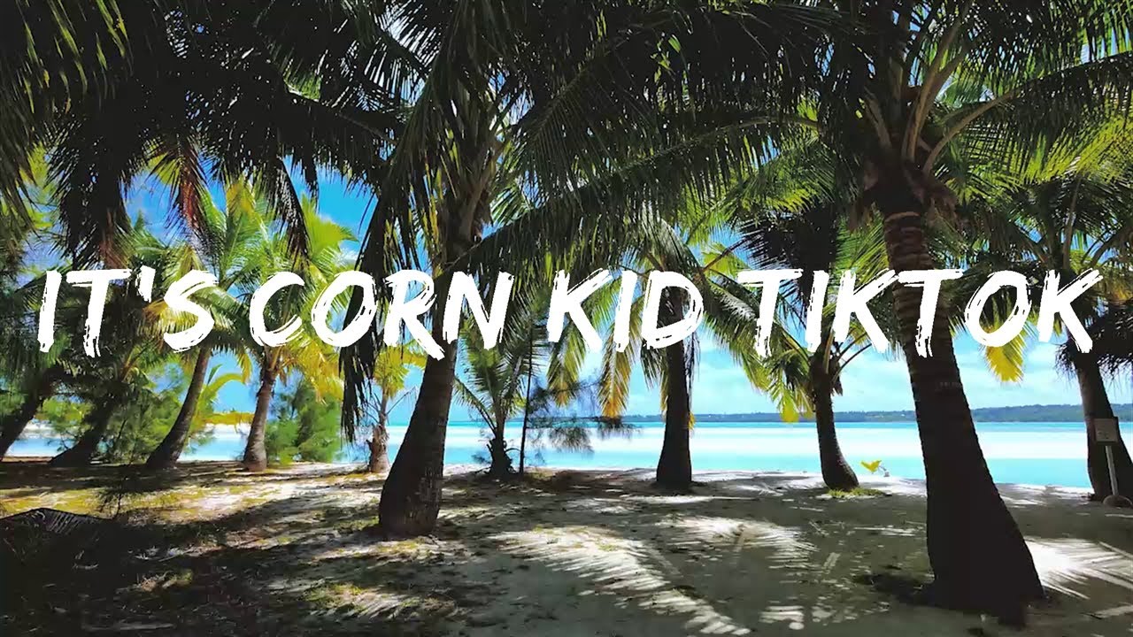 it's corn kid tiktok song | it's corn a big lump of knobs | Music one ...