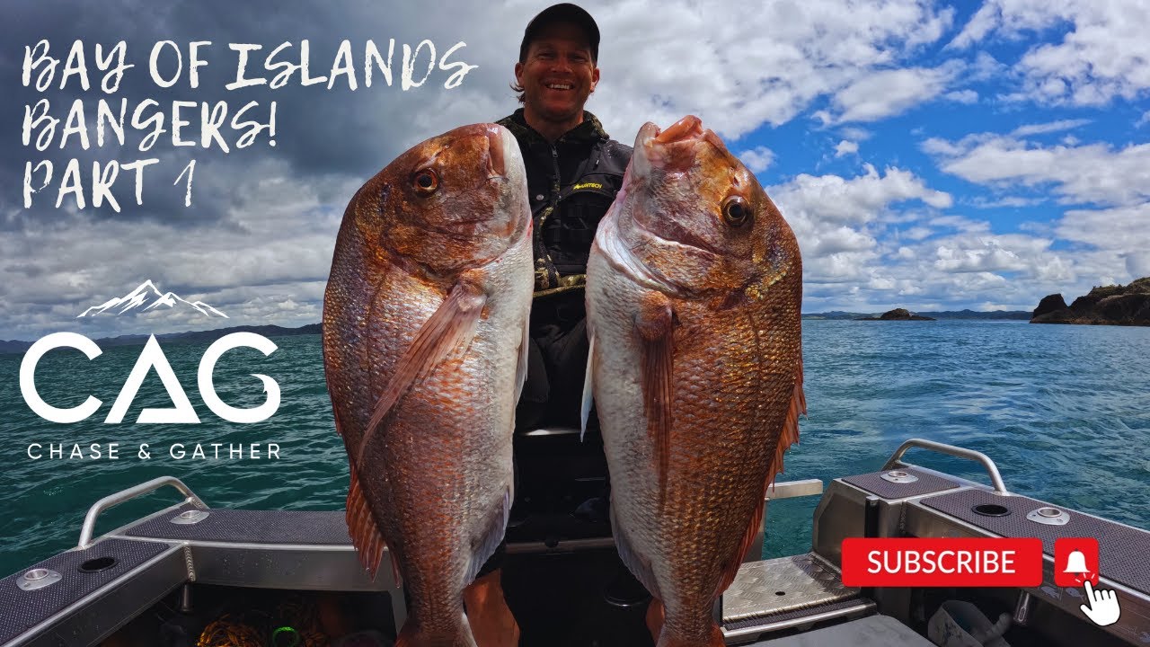 Bay of Islands Bangers! Part 1 - YouTube