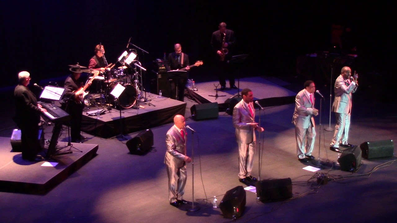THE COASTERS- LITTLE EGYPT - YouTube