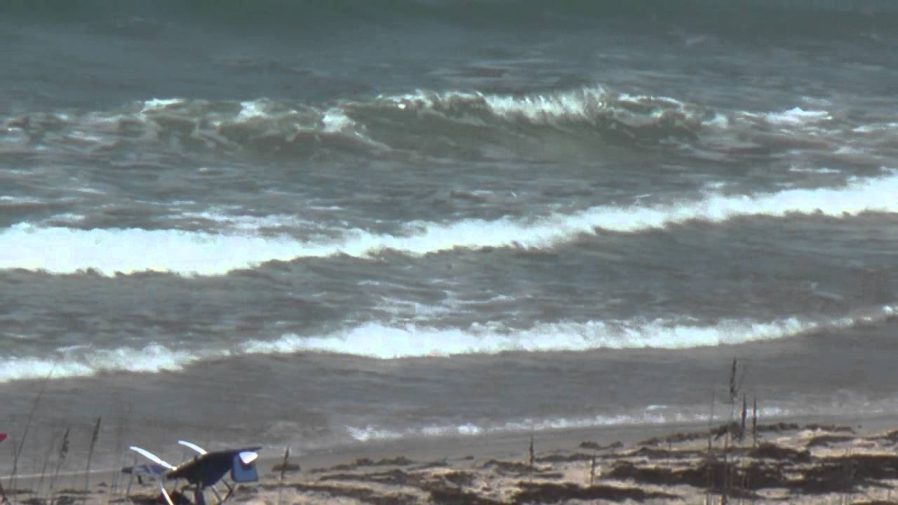 shark in fort pierce florida - YouTube