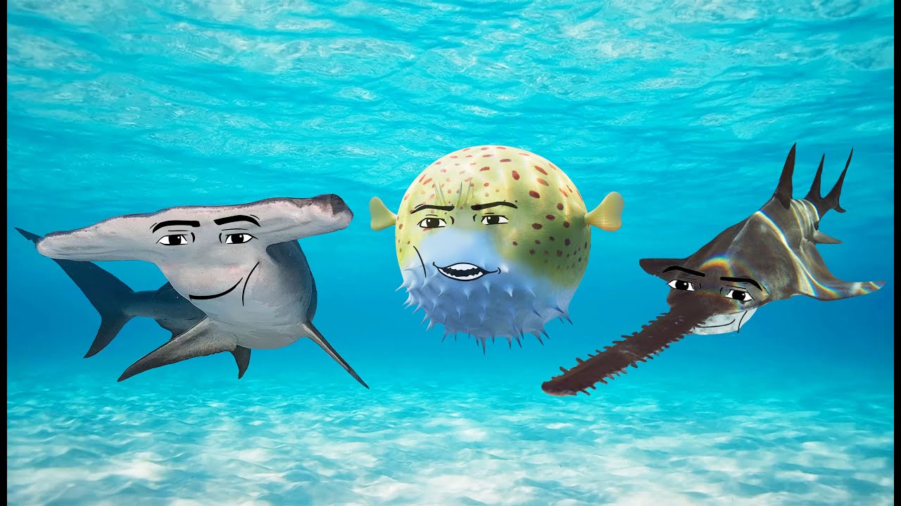 Oceanic Gegagedigedagedago 3 - YouTube